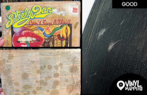 How to Grade Vinyl Records & What Vinyl Condition Grades Mean