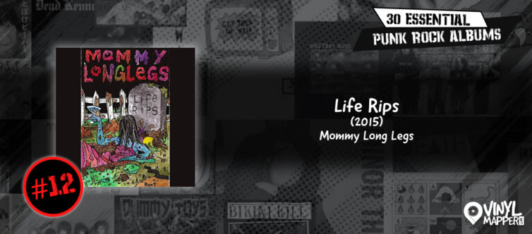 30 Essential Punk Rock Albums You Must Have On Vinyl